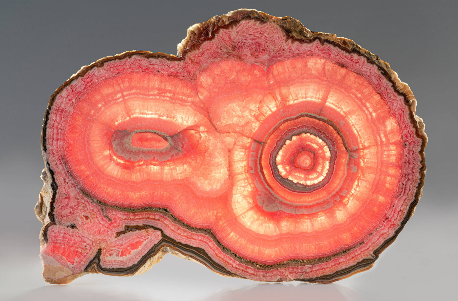 Naturkunde - Landesmuseum Hannover