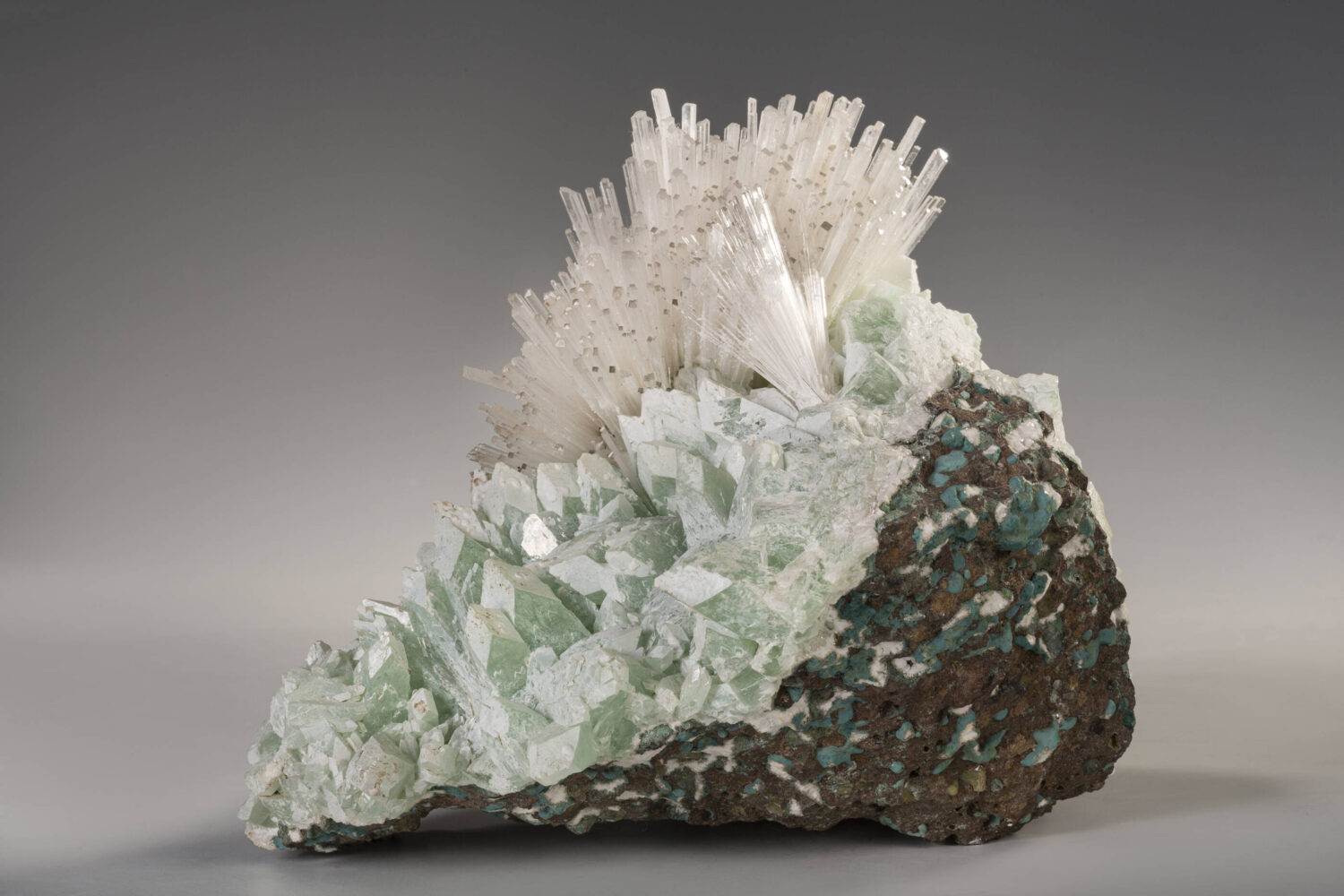 Naturkunde - Landesmuseum Hannover