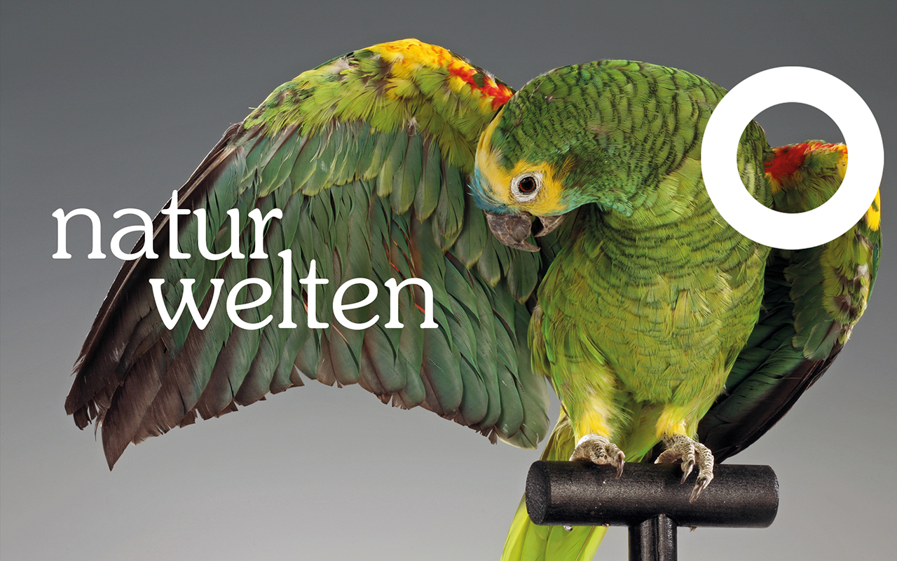 NaturWelten - Landesmuseum Hannover