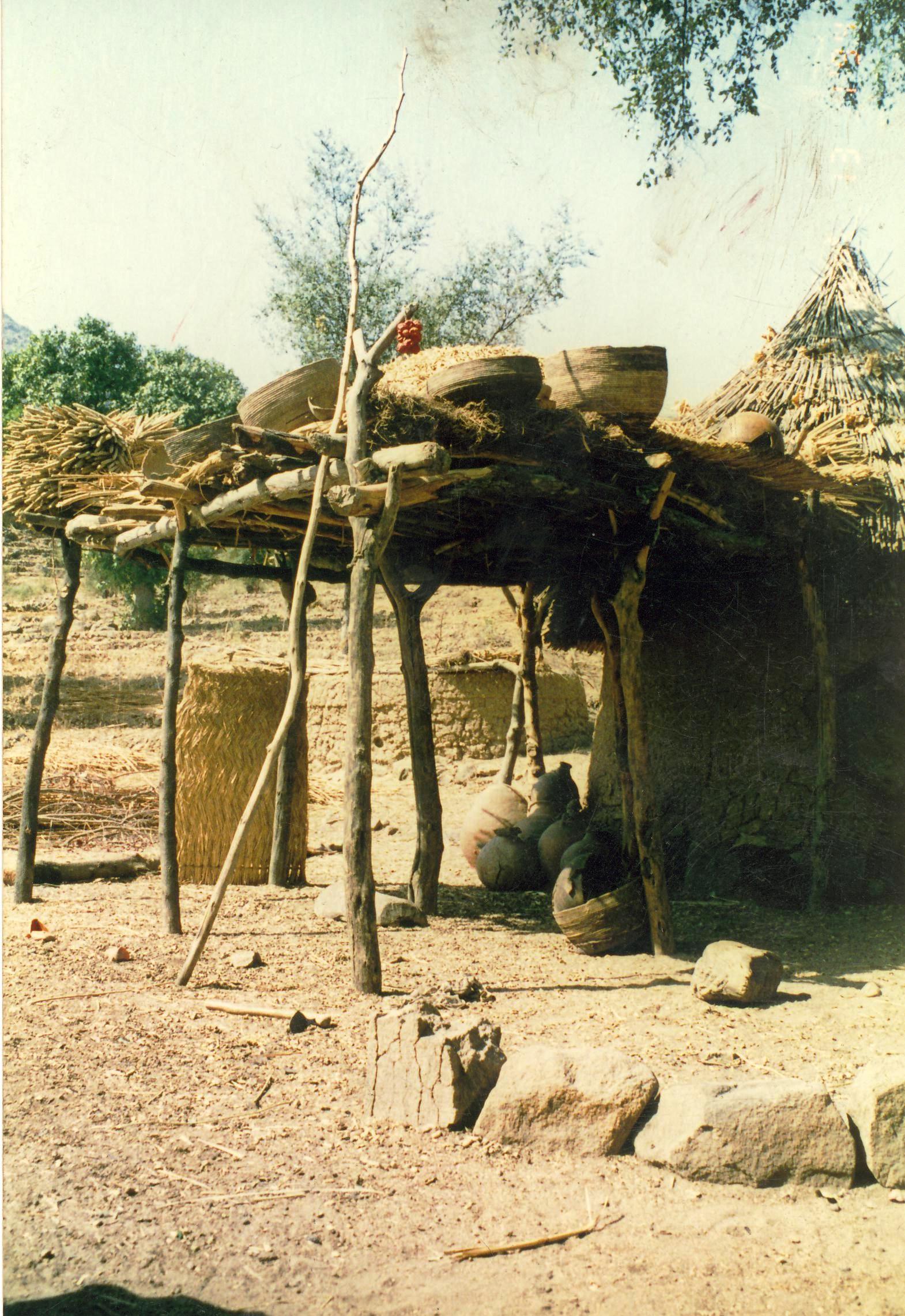 Ethnologie - Landesmuseum Hannover